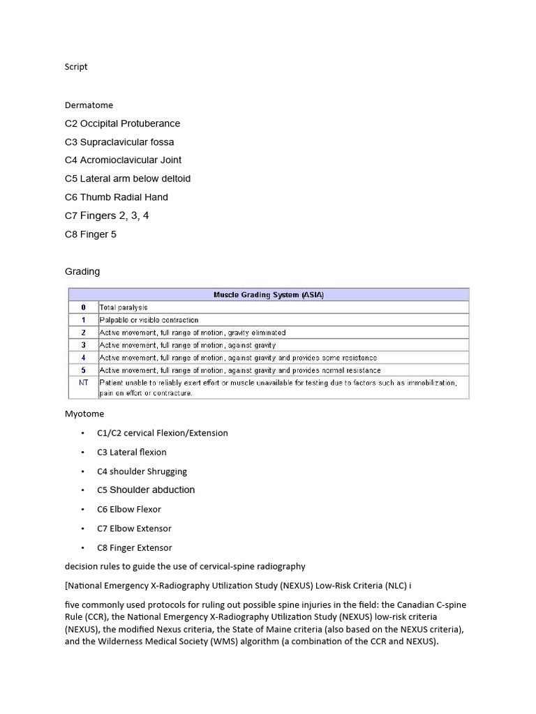 CERVICAL SPINE Script | PDF