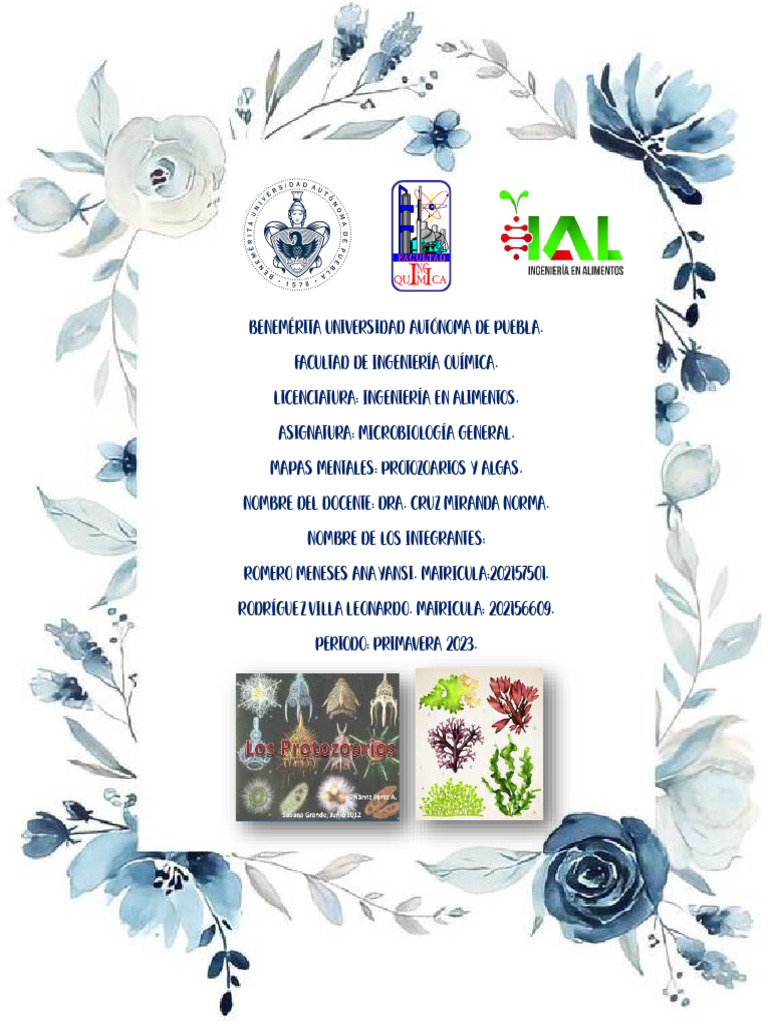 MG Prot - Algas | PDF