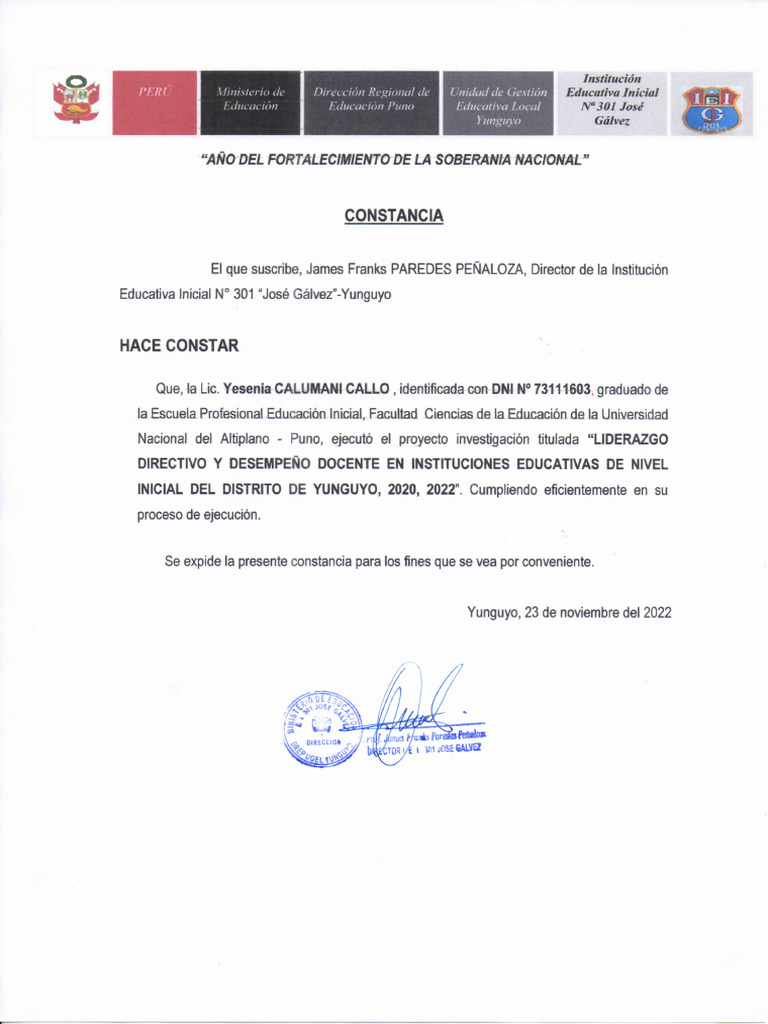 Constancias de Ejecucion de Encuesta | PDF