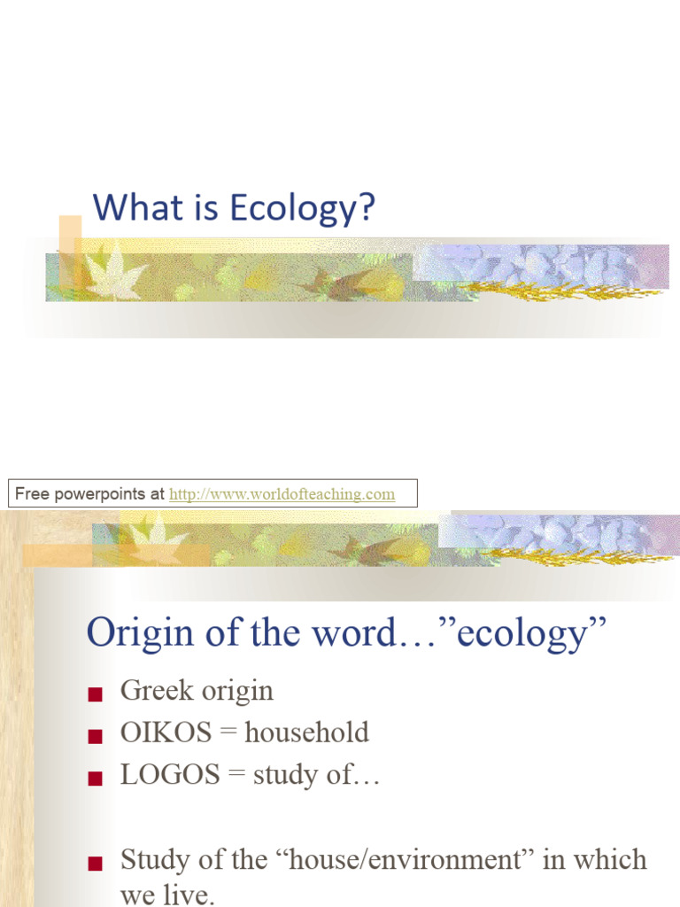 Ecosystem Summary | Download Free PDF | Food Web | Ecosystem