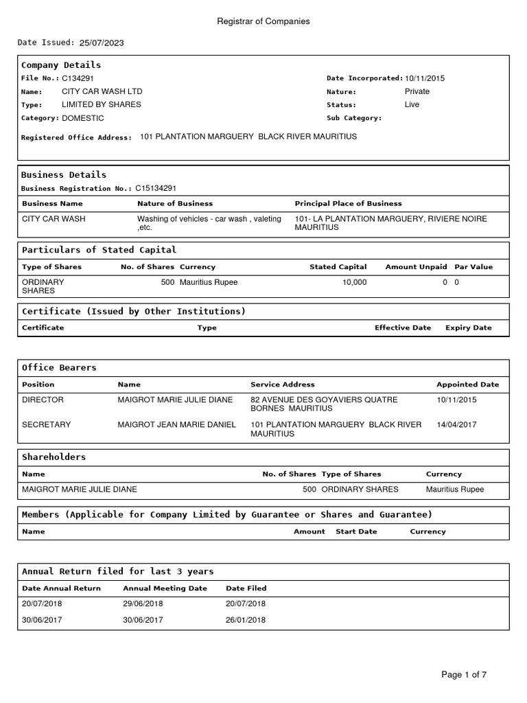 City Car Wash Pdf Balance Sheet Equity Finance