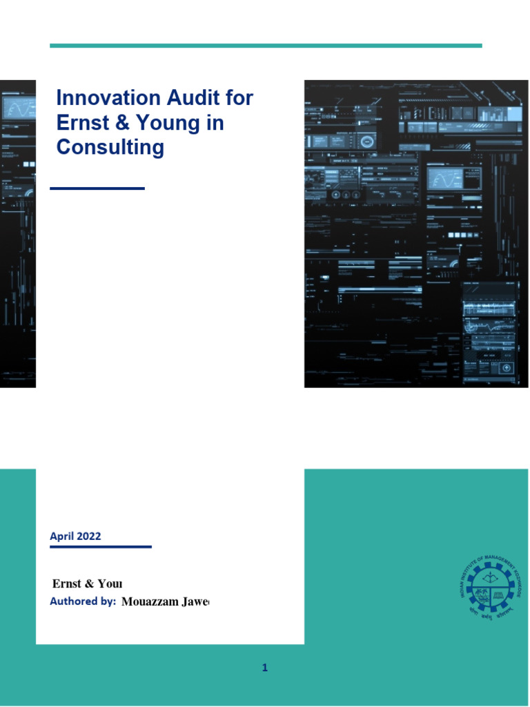 Innovation Audit | PDF