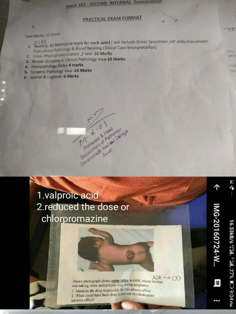 Pharmac Spotting | PDF