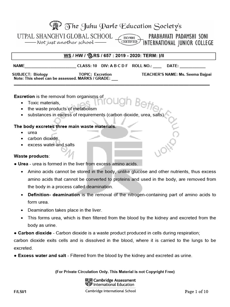 Excretion Notes | PDF