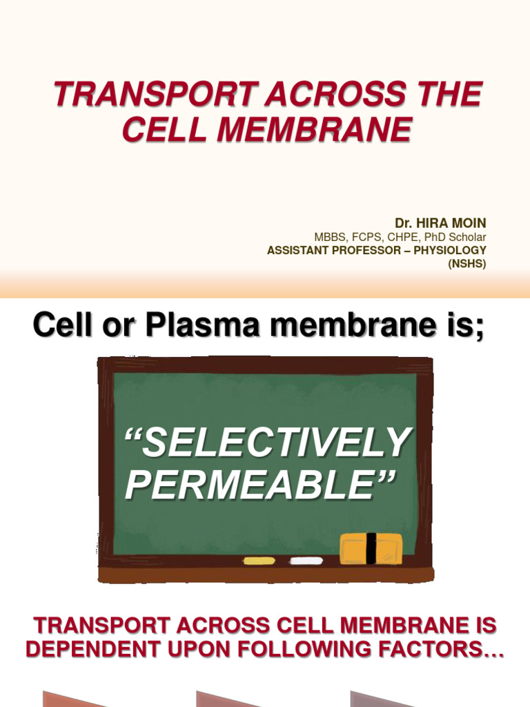 Transport Across Cell Membrane 1sy Yr Lec 2 Slides | PDF