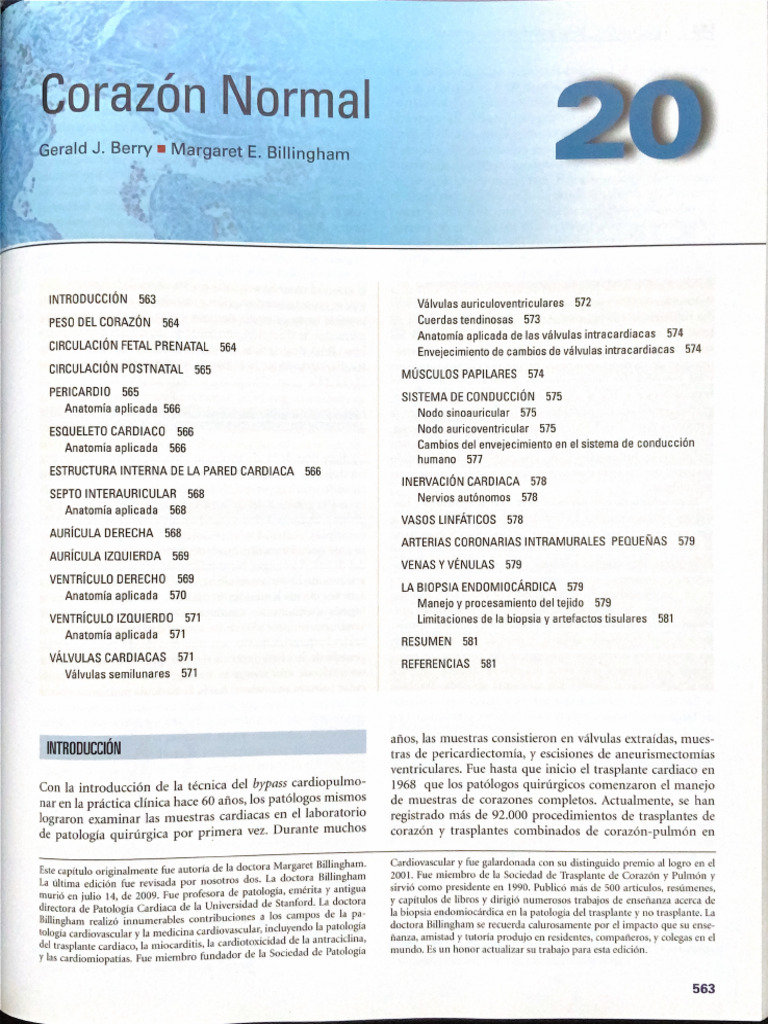 20.corazon Normal | PDF