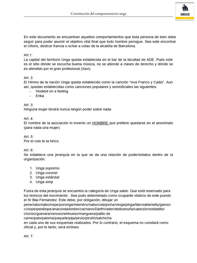 Primera Constitución UNGA SLNE | PDF