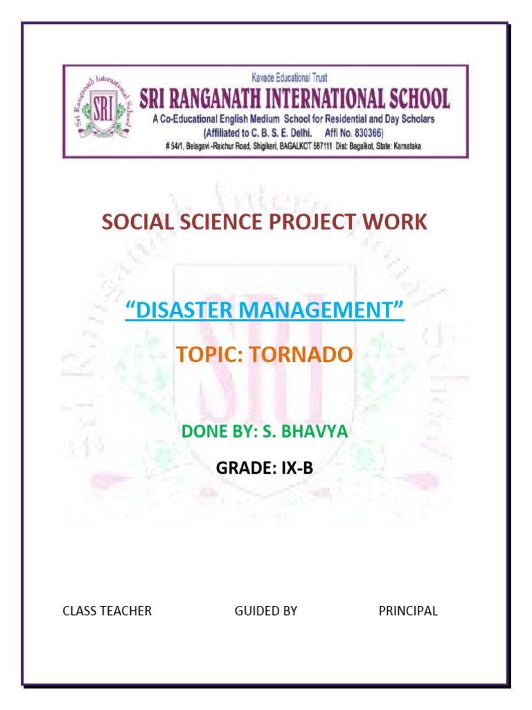 Tornado Disaster Management Project | PDF | Art