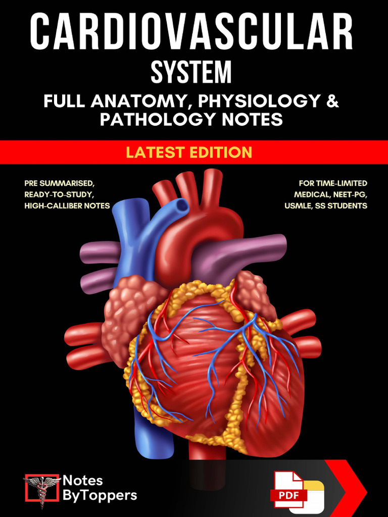 Cardiovascular Notes | PDF | Heart Valve | Coronary Circulation