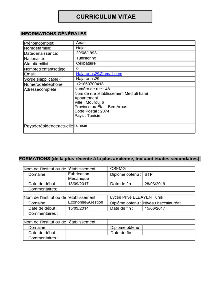 Modèle de CV À Remplir 2023 | PDF | Tunisie