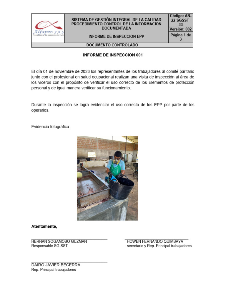 Informe de Inspeccion Uso de Epp | PDF