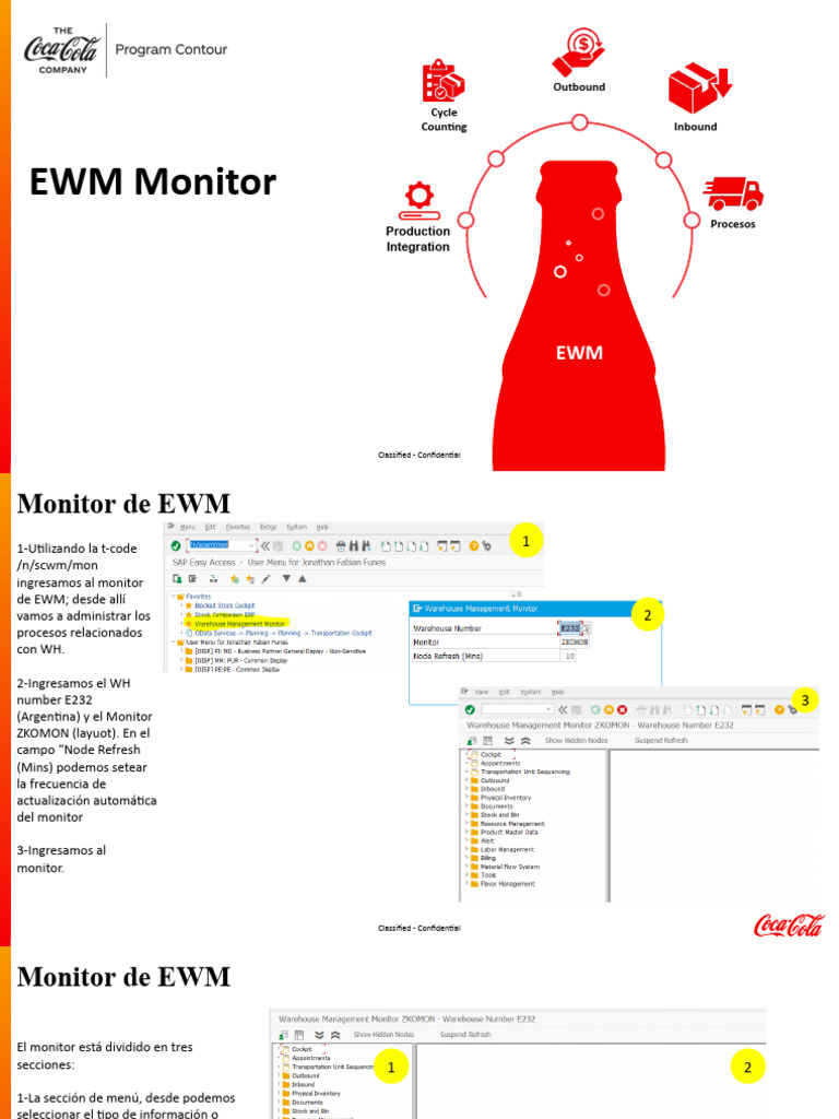 Guía Completa del Monitor EWM | PDF | Informática