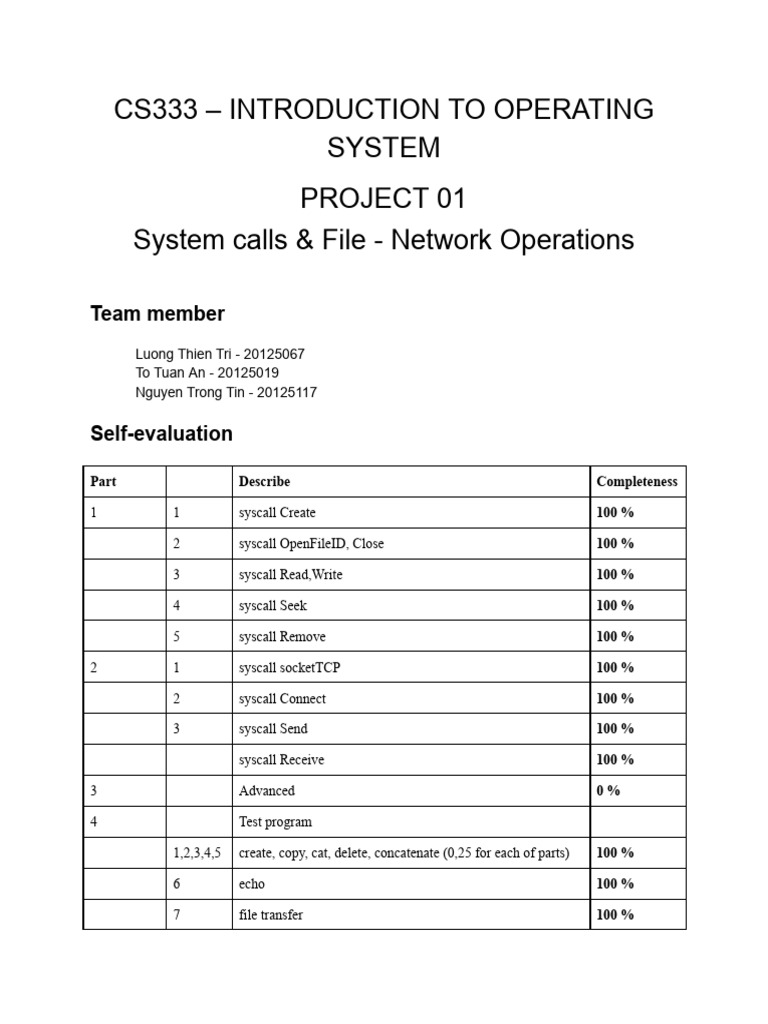 Report | PDF | Pointer (Computer Programming) | Filename