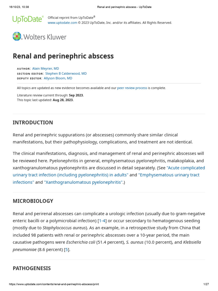 Renal and Perinephric Abscess - UpToDate | PDF | Kidney | Medicine