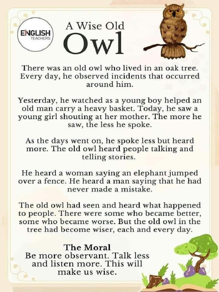 Owl | PDF