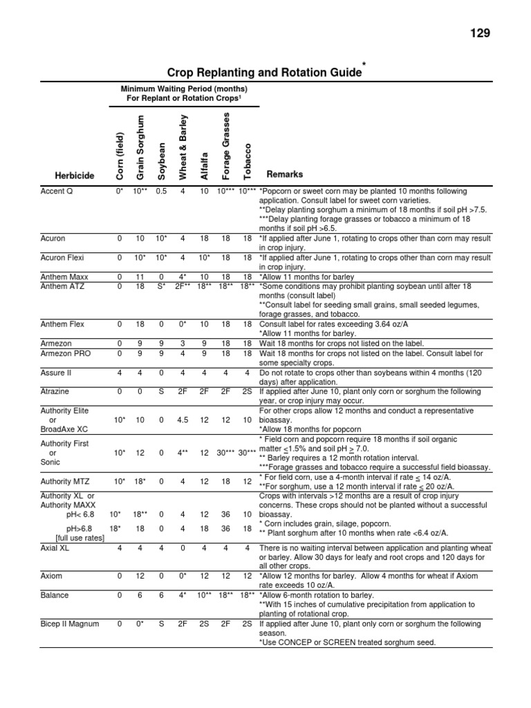 Crop Replanting and Rotation Guide | PDF | Maize | Crop Rotation