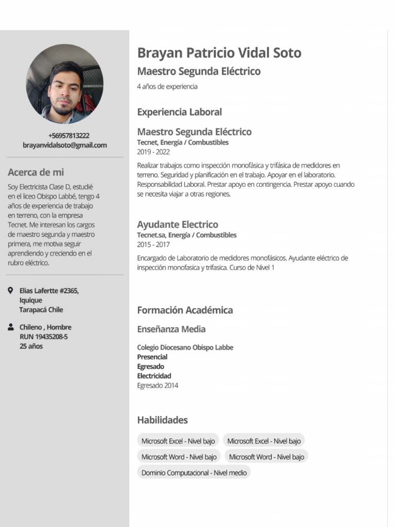 CV - Brayan Patricio - Vidal Soto | PDF