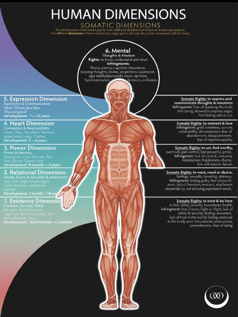 NEO Emotional Release Human Dimensions Map | PDF