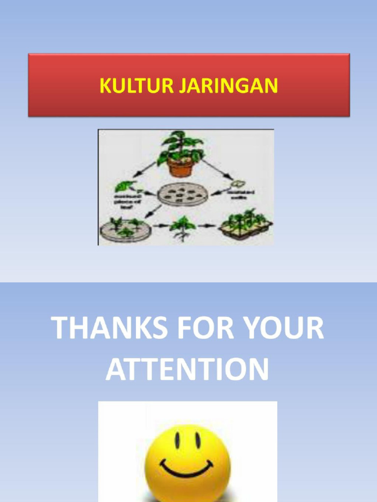 Aklimatisasi Pisang | PDF