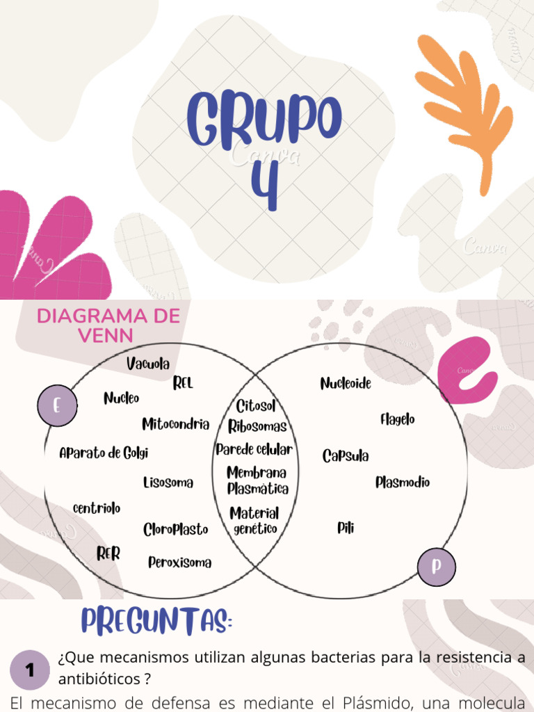 Procesos Biologicos Grupo 4 2024 1 | PDF | Biología Celular) | Las ...