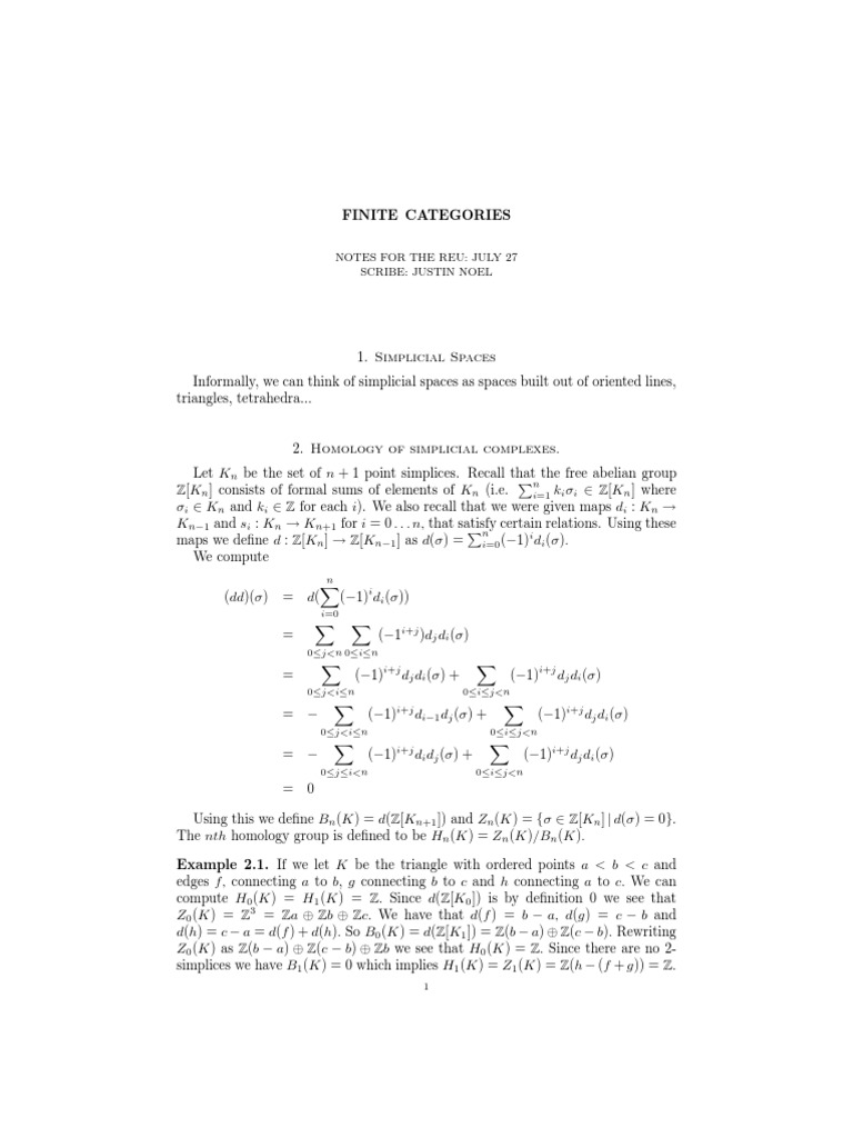 Homology of Simplicial Complexes Explained | PDF