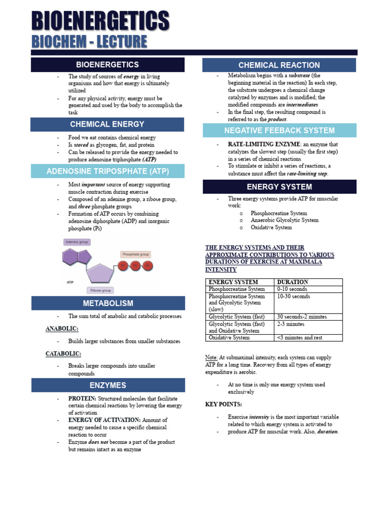 BIOENERGETICS | PDF | Adenosine Triphosphate | Bioenergetics BIOENERGETICS | PDF | Adenosine Triphosphate | Bioenergetics