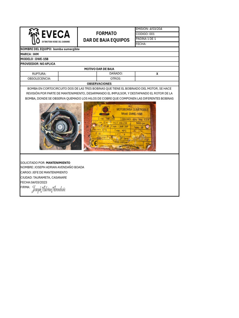 FORMATO DAR BAJA-BOMBA SUMERGIBLE | PDF