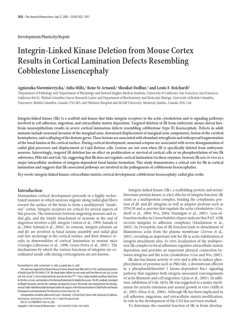 Integrin-Linked Kinase Deletion From Mouse Cortex Results in Cortical ...