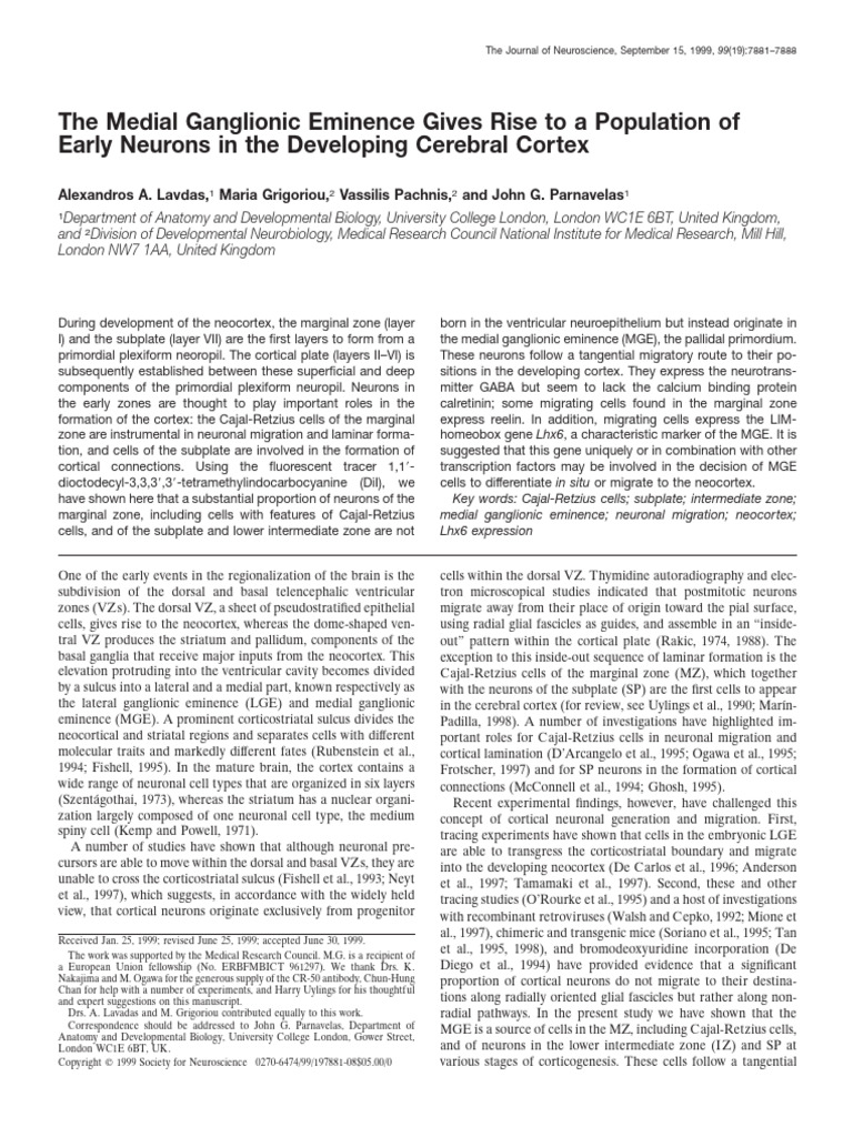 Lavdas Et Al. - J.neurosc. - 1999 - The MGE Gives Rise To A Population ...