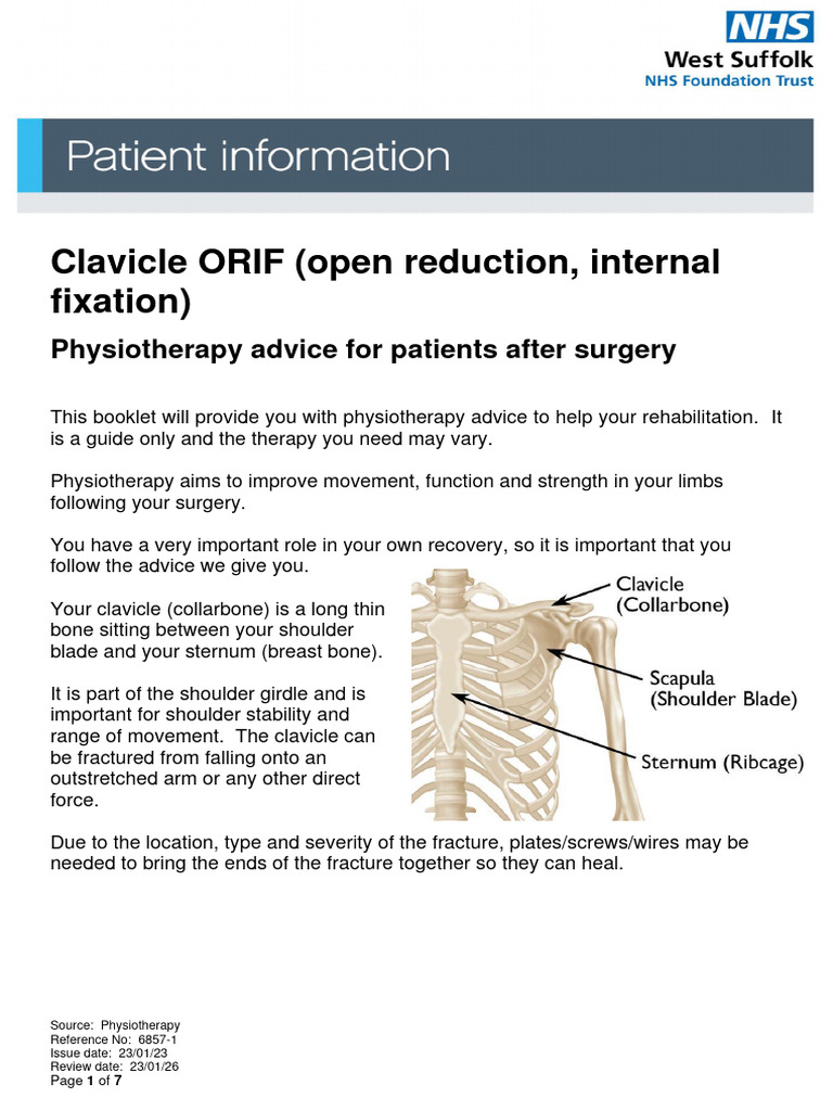 Clavicle ORIF Physiotherapy Guide | PDF | Anatomical Terms Of Motion ...