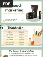 giới thiệu về Cocoon | PDF