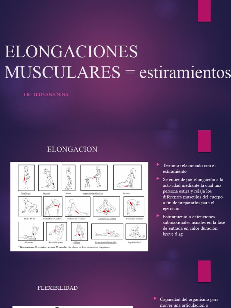 Elongaciones Musculares | Descargar gratis PDF | Músculo esquelético ...