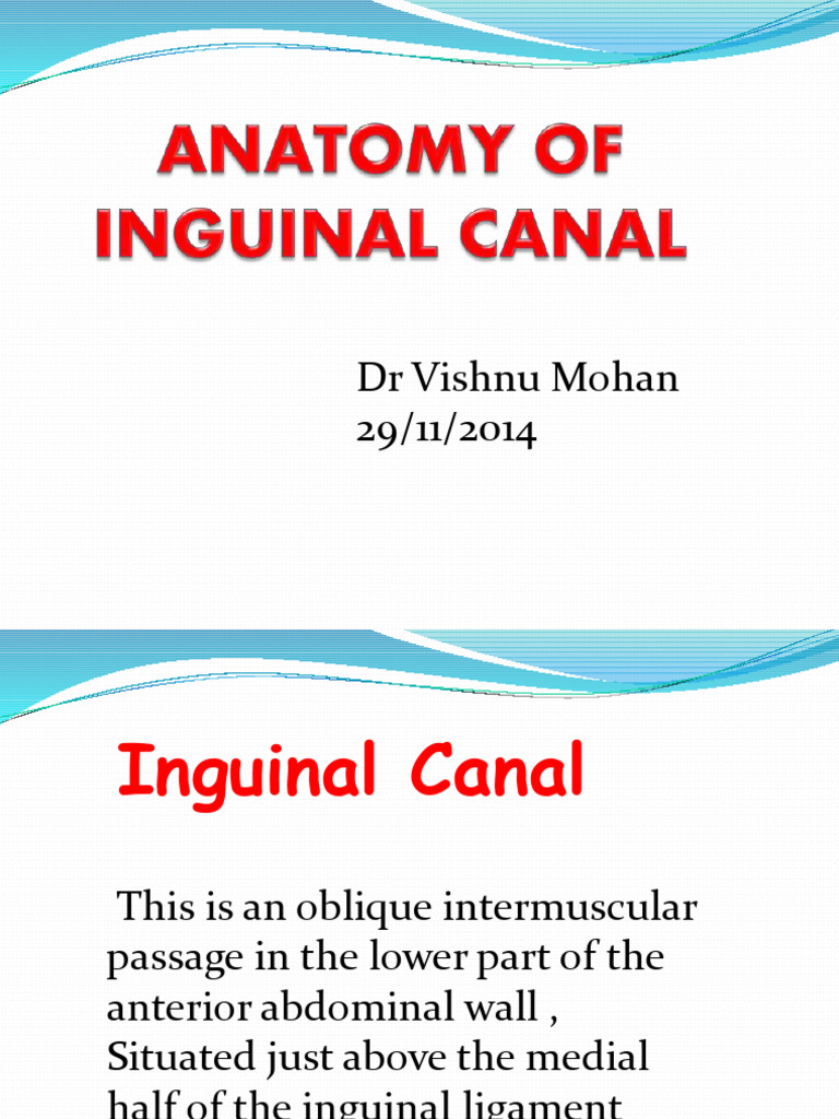 Inguinal Canal Anatomy and Function | PDF | Anatomy | Abdomen