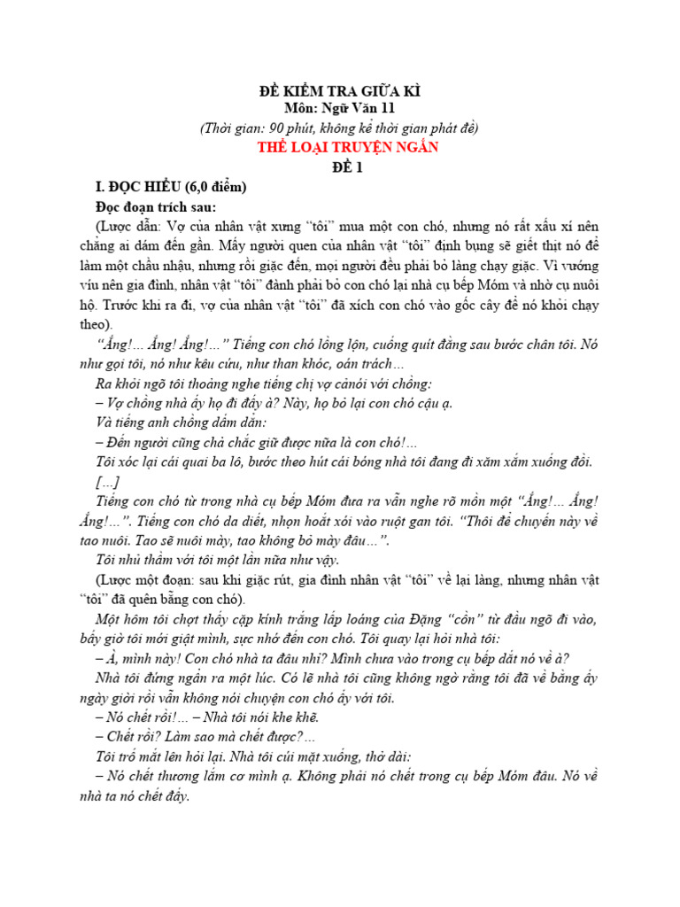 ĐỀ KIỂM TRA GIỮA KÌ THI THỬ 11B1 | PDF