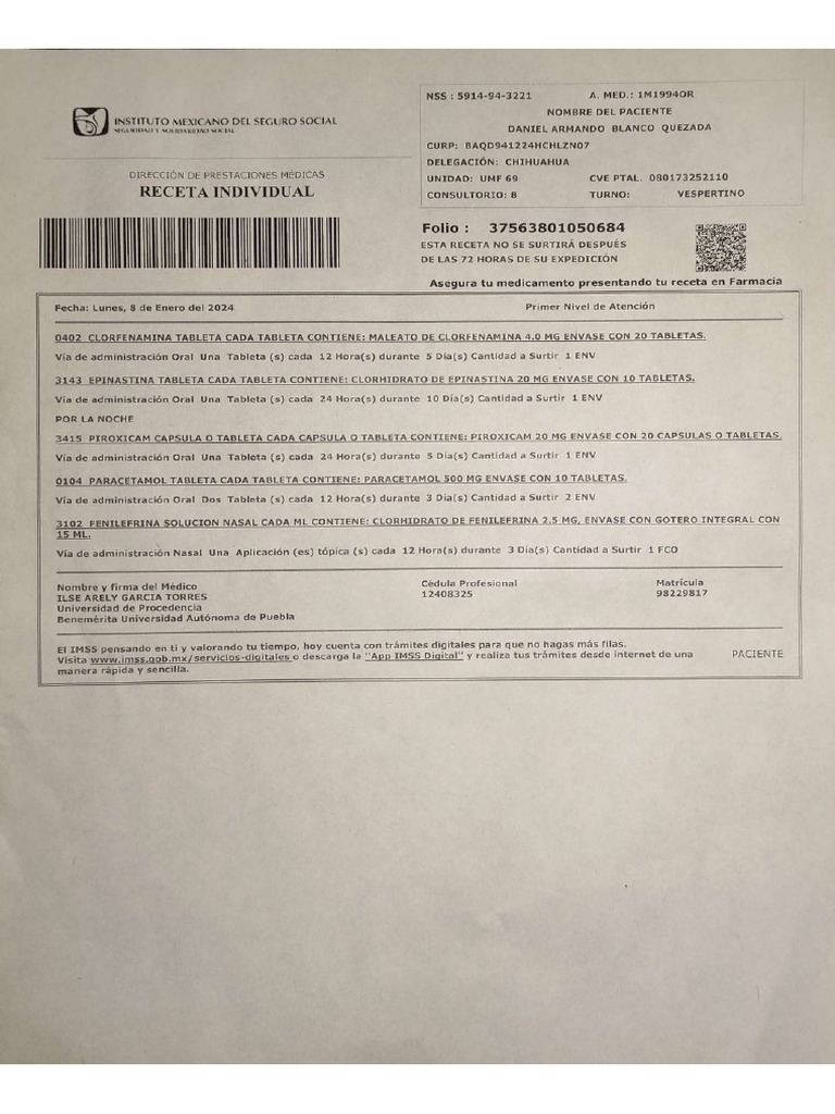IMSS | PDF