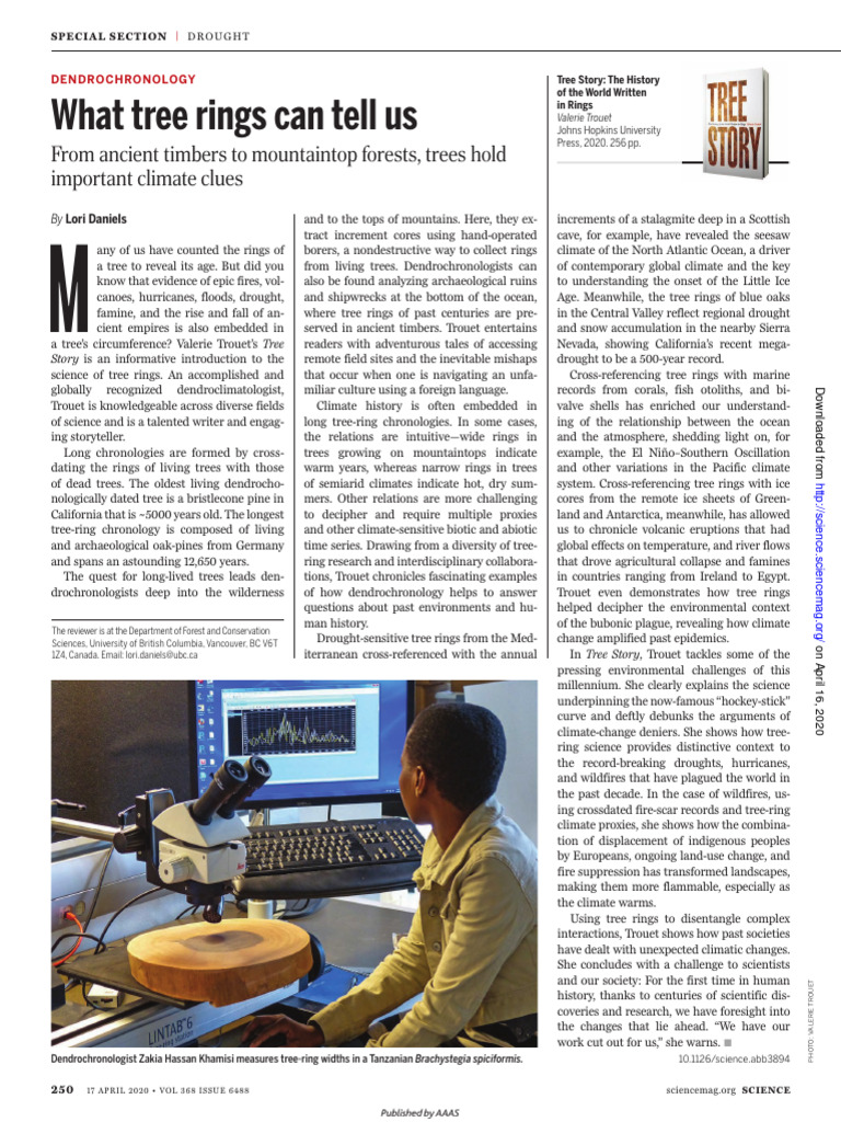 2020_What tree rings can tell us | PDF | Climate | Earth Sciences