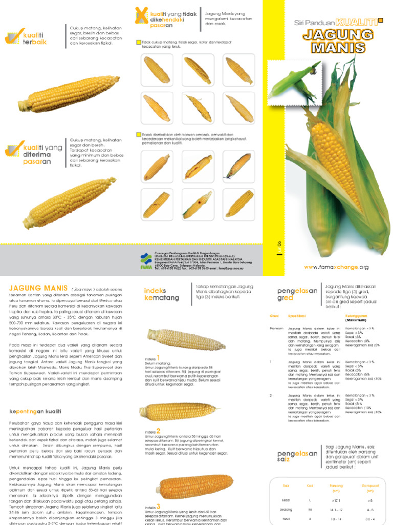 Indeks Jagung | PDF