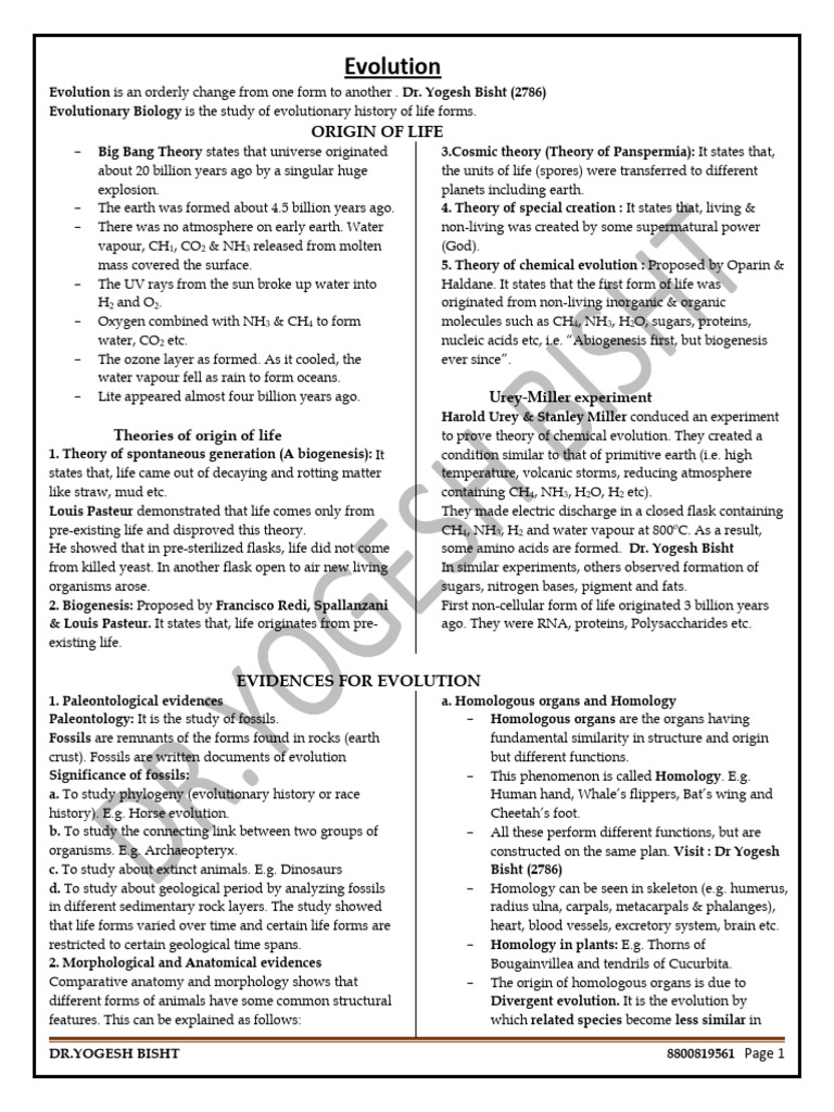 Evolution | PDF | Natural Selection | Evolution