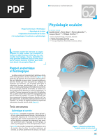 Anatomie du Corps Géniculé Latéral | PDF | Système visuel | Vision