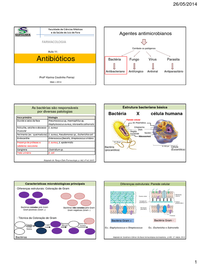 Aula 11 - Farmacologia - Antibi Ticos 26 05 2014 - PARTE 1 | PDF | Penicilina | Bactérias