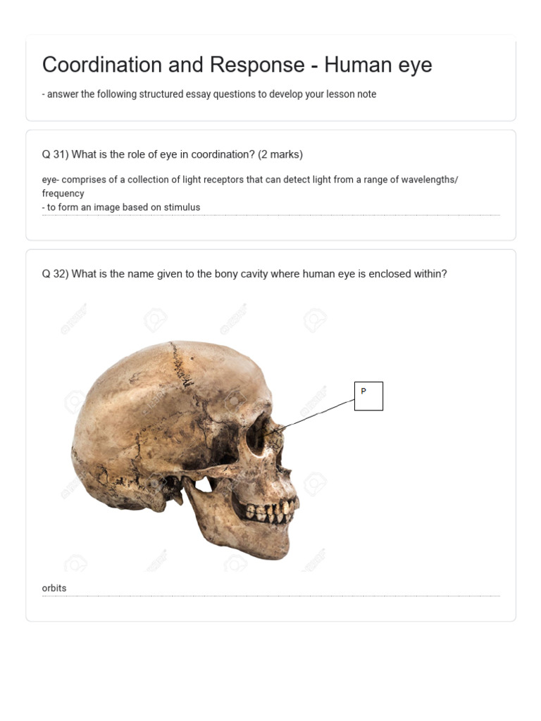 Coordination and Response - Human Eye - Yashmi | PDF | Human Eye | Eye