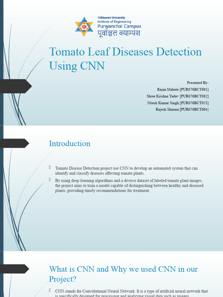 Tomato Disease Detection Using Cnn Pdf Applied Mathematics Cybernetics