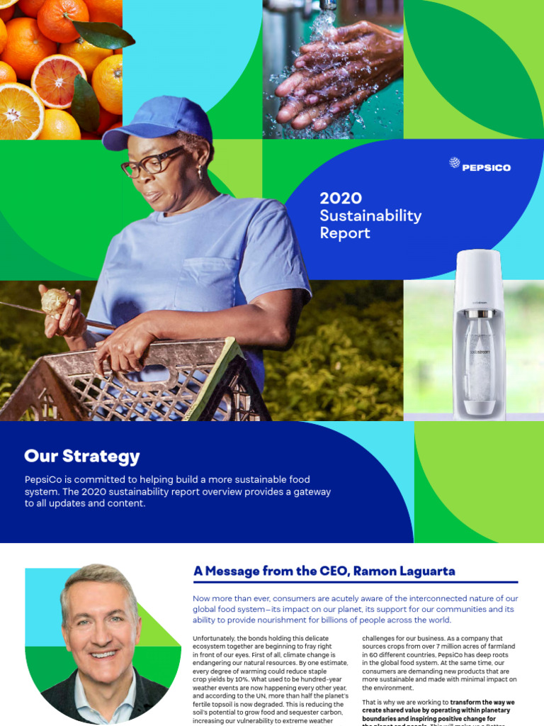 2020 Sustainability Report | PDF | Agriculture | Sustainability