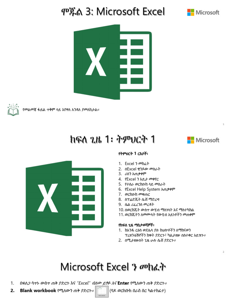 Microsoft Excel Student Handout | PDF