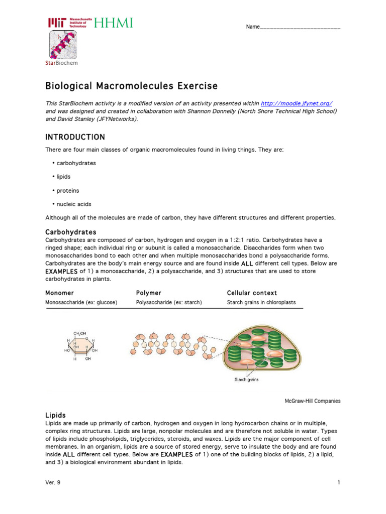 Macromolecules Exercise Ver8 | PDF | Nucleic Acids | Macromolecules