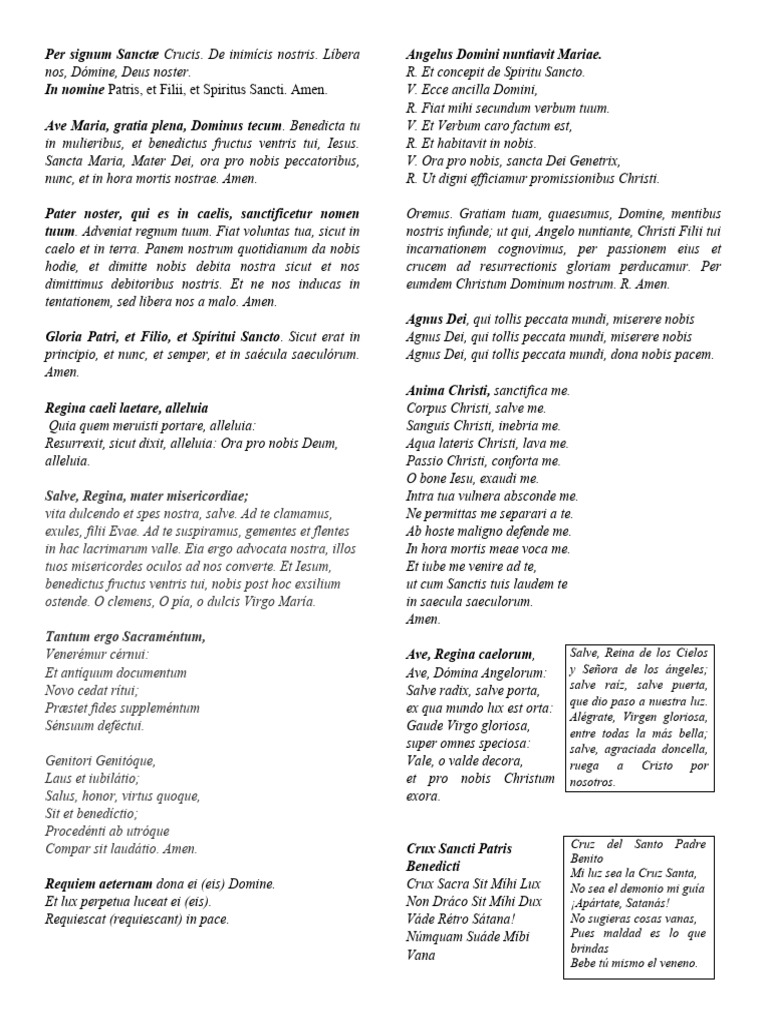 Oraciones de Latin | PDF