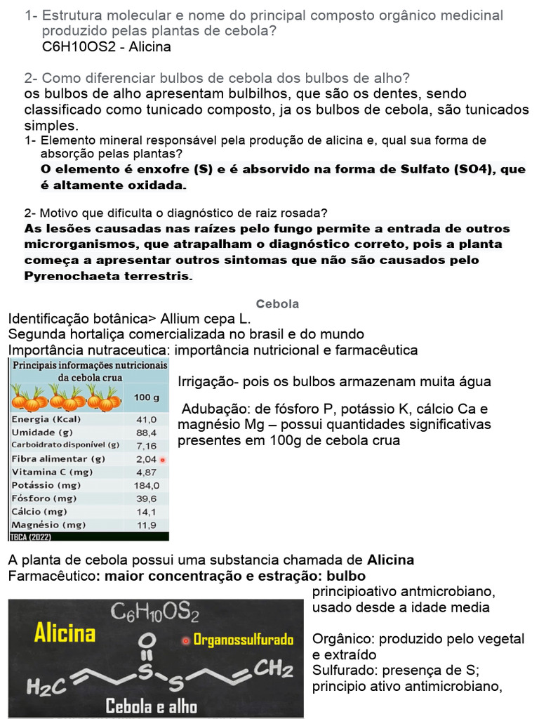 Estrutura e Ciclo da Cebola | PDF | Semente | Flores