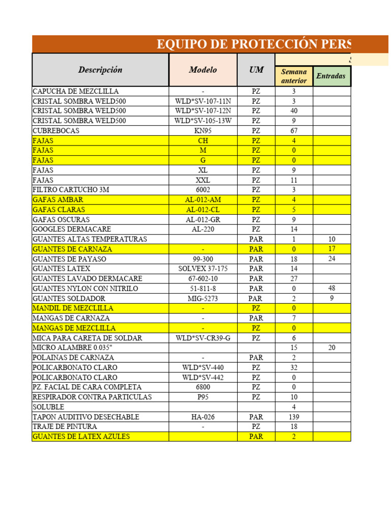 Inventario EPP | PDF