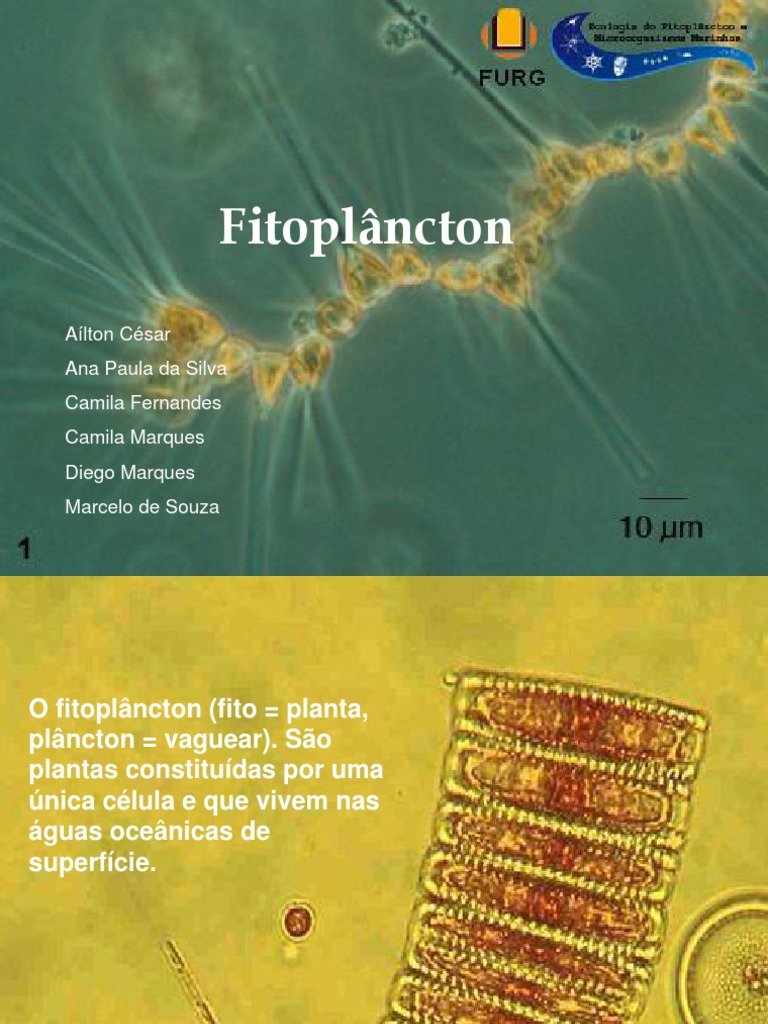 Importância e Função do Fitoplâncton | PDF | Fitoplâncton | Biogeoquímica