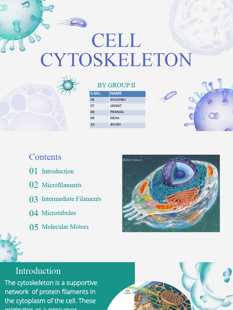Cytoskeleton - GROUP 2 | PDF | Cytoskeleton | Cell (Biology)